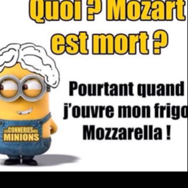 Mdr Blague De Minion